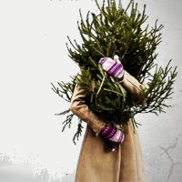 Kerstmarkt Neede 2025 v.a. zaterdag 13 december | Centrum Neede