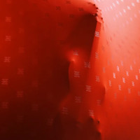 Red Roots Festival 2025 v.a. vrijdag 30 mei | Centrum Enschede